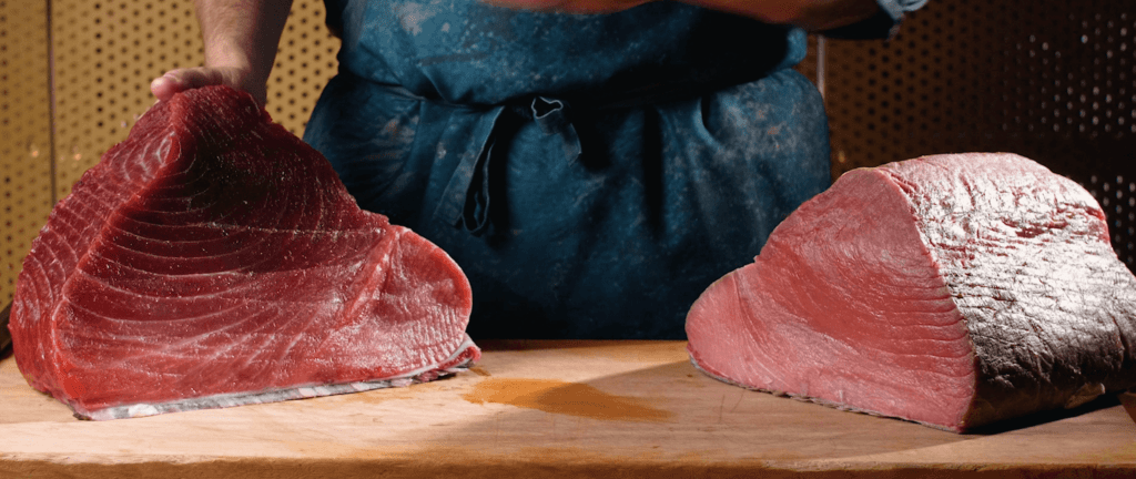 Raw bluefin tuna: How long must a piece be aged to reach the optimum ...